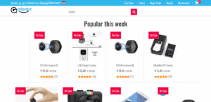 23 Most Successful Shopify Dropshipping Store Examples | Inspiration