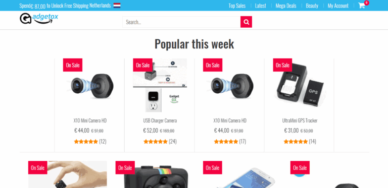 23 Most Successful Shopify Dropshipping Store Examples | Inspiration