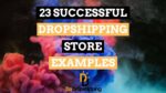 23 Most Successful Shopify Dropshipping Store Examples | Inspiration