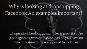 9 Awesome Dropshipping Facebook Ad Examples | Inspiration