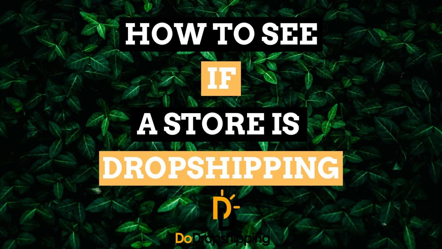 How Do You Tell if a Website Is Dropshipping? (Use This Tip)
