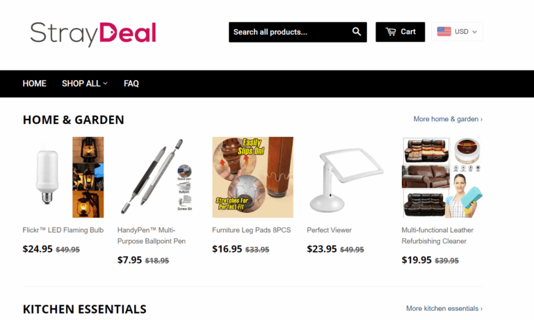 6 Real AliExpress Dropshipping Store Examples | Inspiration