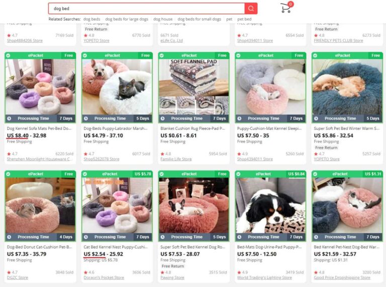 Dropshipping Basics: 7 Surprising Things to Know as Beginner