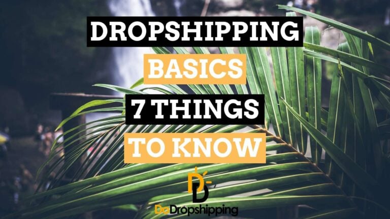 Dropshipping Basics: 7 Surprising Things to Know as Beginner
