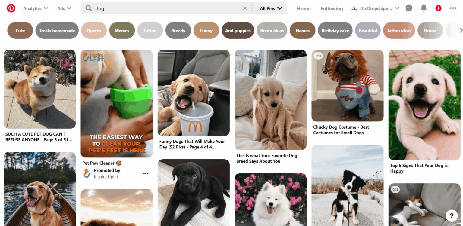 18 Best Free Dropshipping Websites to Grow Your Store (2024)