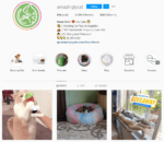 11 Dropshipping Instagram Account Examples | Inspiration