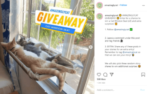 How to Get Started With Private Label Dropshipping (5 Steps)