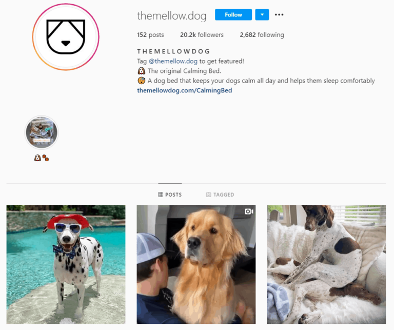 11 Dropshipping Instagram Account Examples | Inspiration