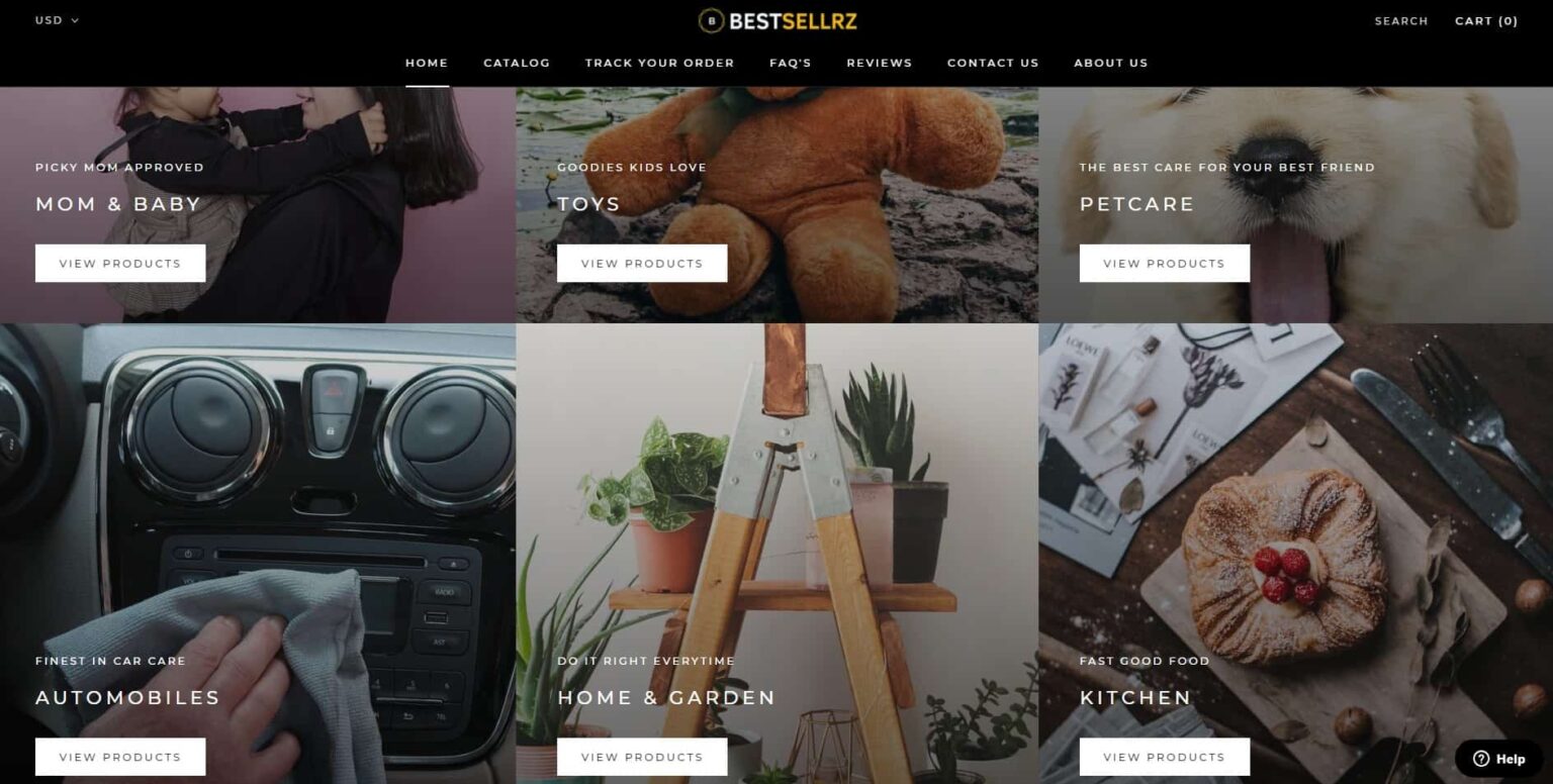 23 Most Successful Shopify Dropshipping Store Examples | Inspiration