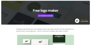 How to Get a Logo for Your Dropshipping Store? (5 Options)