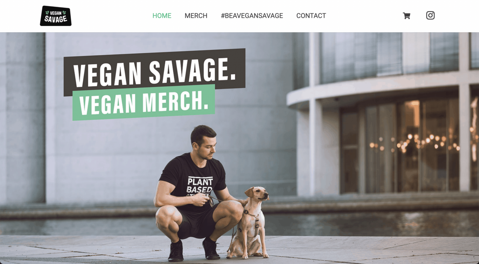15 Most Successful Print on Demand Store Examples in 2024