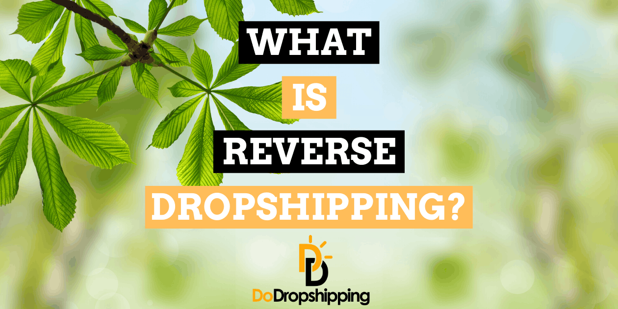 What Is Reverse Dropshipping? (And Should You Do It?)
