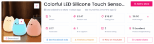 13 Awesome Low-Ticket Dropshipping Product Examples in 2023
