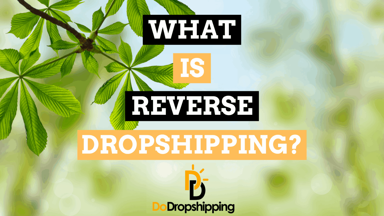 What Is Reverse Dropshipping? (And Should You Do It?)