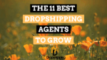 The 11 Best Dropshipping Agents to Grow Your Store in 2026