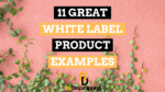 11 Great White Label Product Examples to Sell Online in 2025