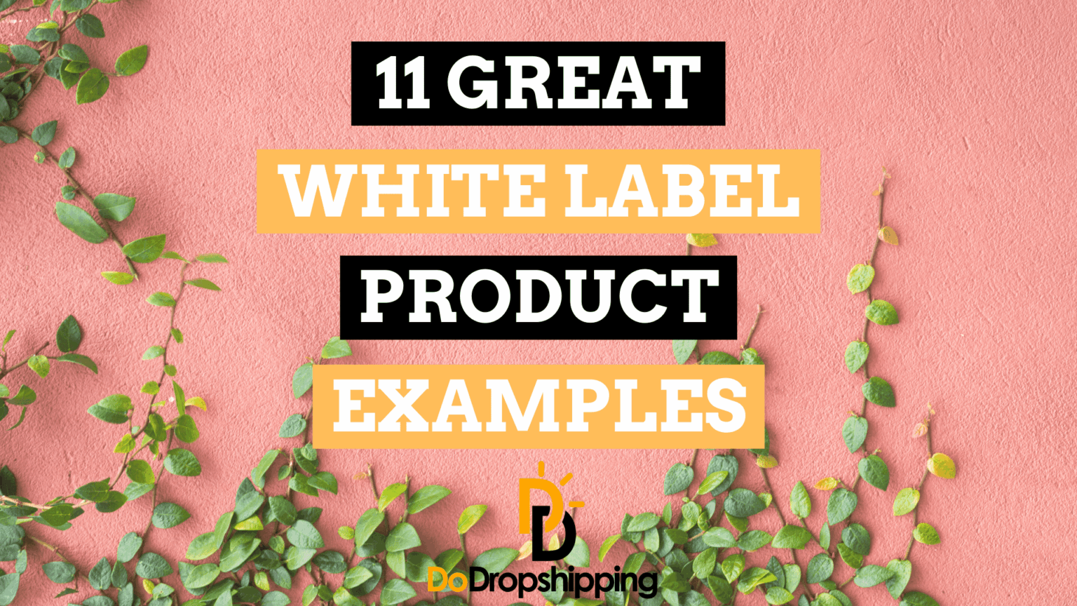 11 Great White Label Product Examples to Sell Online in 2025