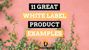 11 Great White Label Product Examples to Sell Online in 2025