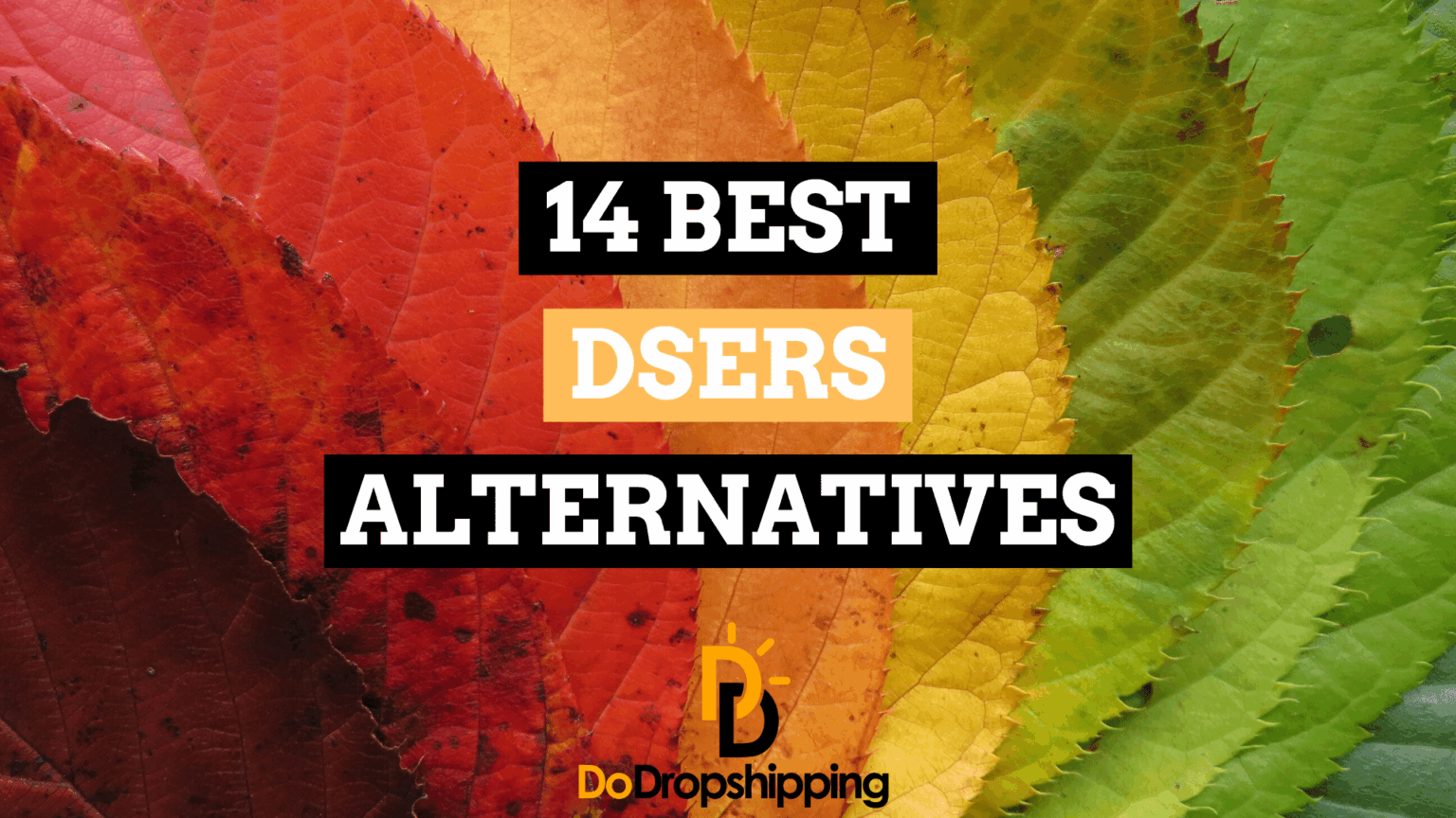 14 Best DSers Alternatives in 2026 (Find the Right App)