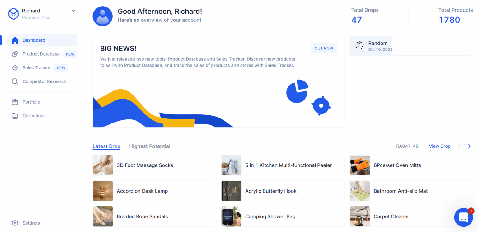 Dropship Review: Read This Before Using the Tool! (2025)