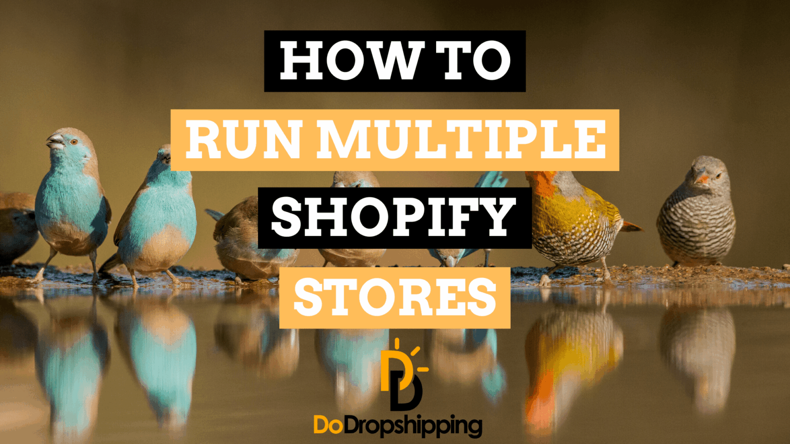 How Do You Pause or Close Your Shopify Store? (2025 Guide)