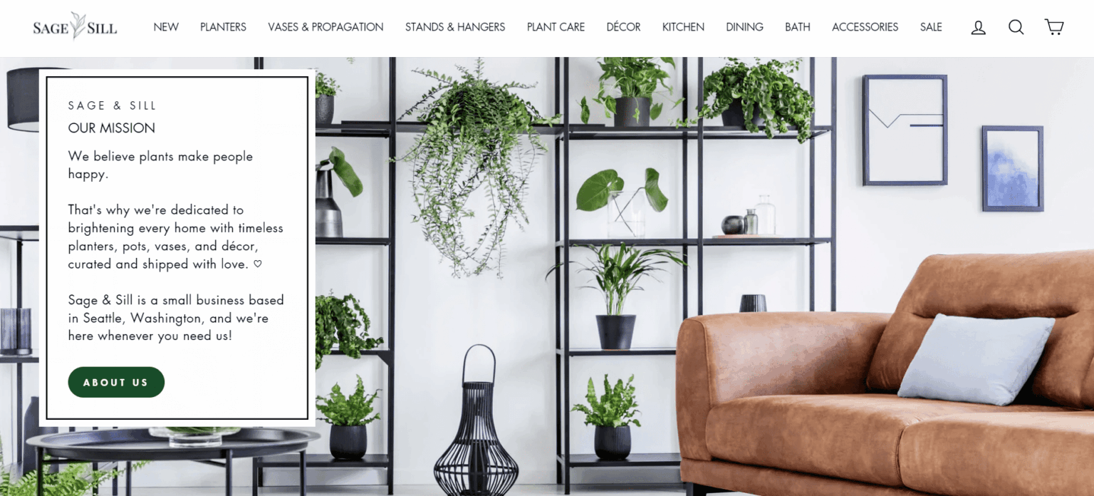 The 12 Best Dropshipping Store Examples in the US (2025)