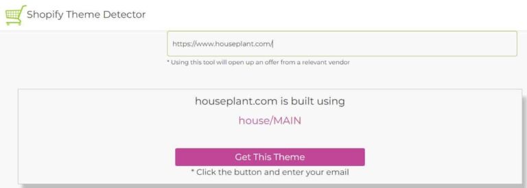 How Do You See What Theme a Shopify Store Is Using? (2024)