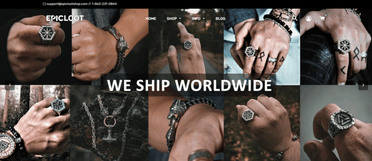 The 12 Best Dropshipping Store Examples in the US (2025)