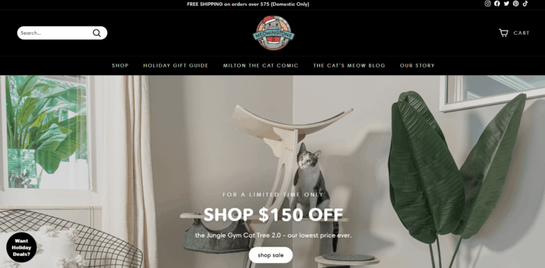 23 Most Successful Shopify Dropshipping Store Examples | Inspiration