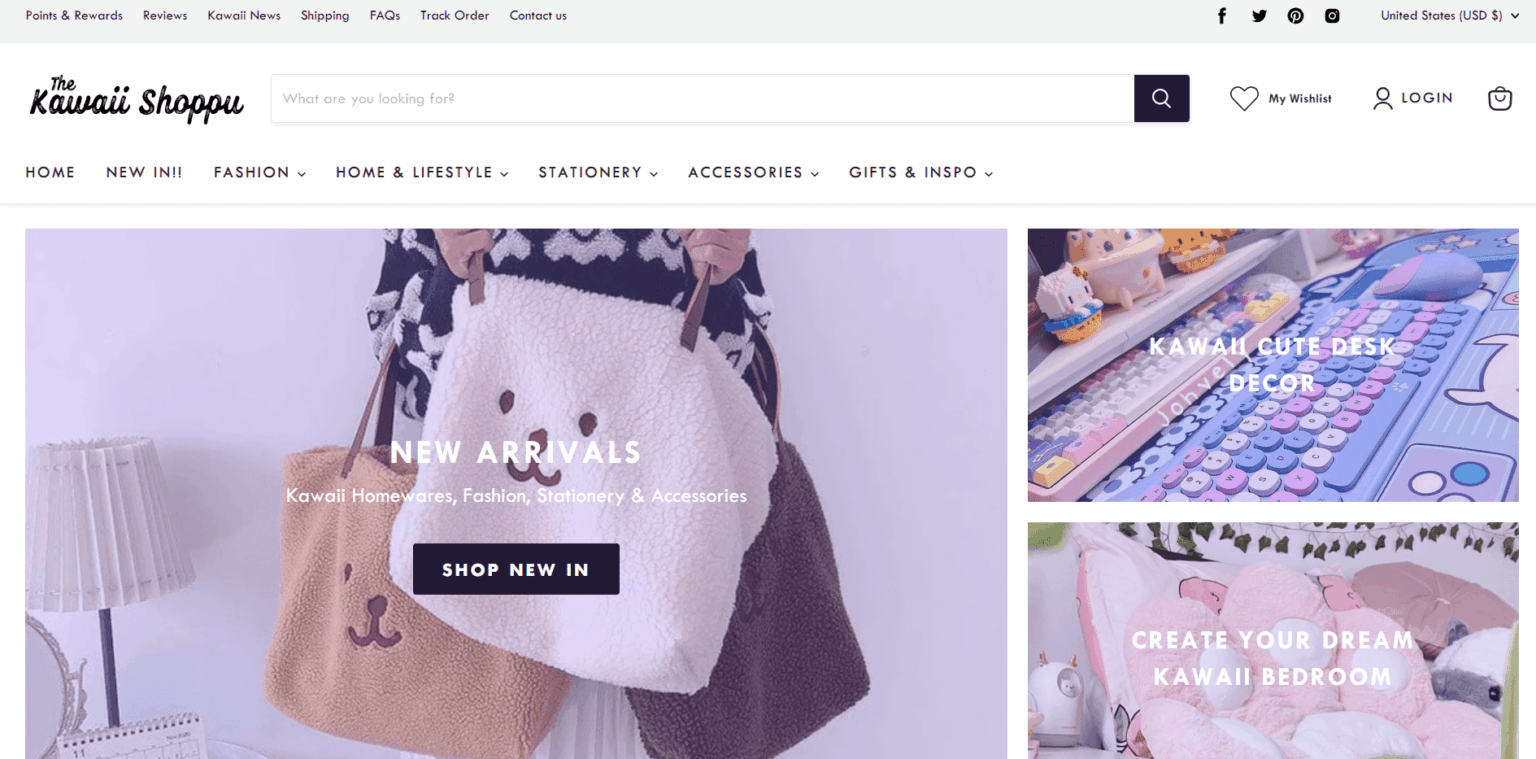 The 17 Top Dropshipping Store Examples (Get Inspired Now)