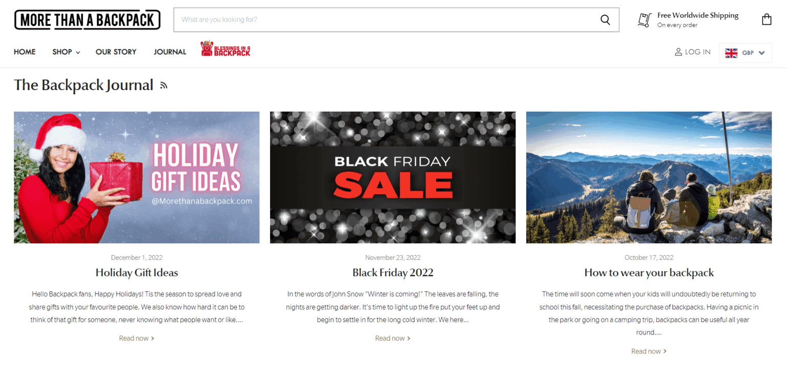 The 17 Top Dropshipping Store Examples (Get Inspired Now)