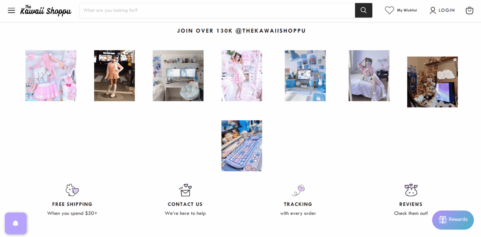 The 17 Top Dropshipping Store Examples (Get Inspired Now)