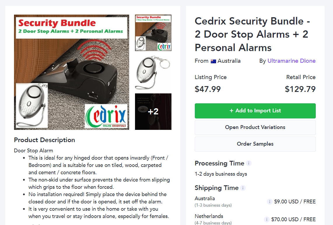 Should You Dropship Security Products? (+ Product Examples)