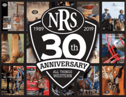 10 Worth-Learning-From Shopify Blog Examples | Inspiration