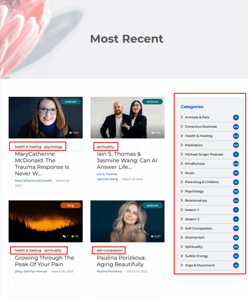 10 Worth-Learning-From Shopify Blog Examples | Inspiration