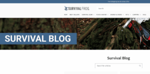 10 Worth-Learning-From Shopify Blog Examples | Inspiration