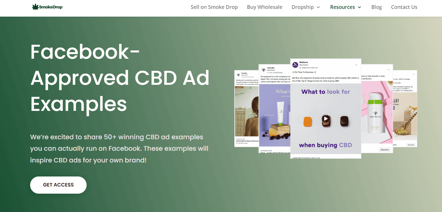 How to Get Started With CBD Dropshipping (2025 Guide)