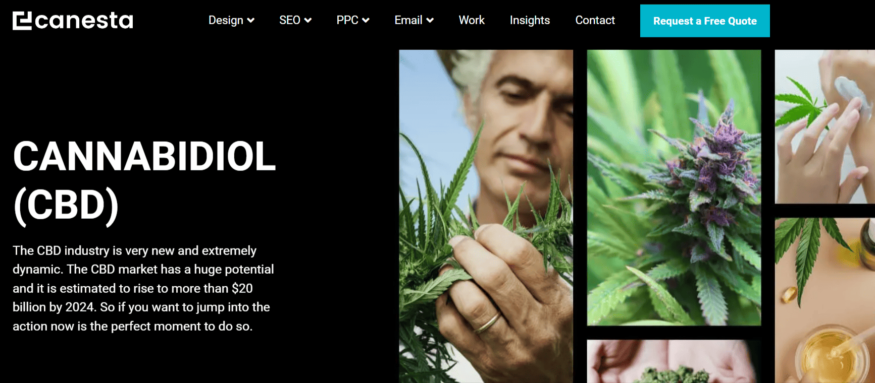 How to Get Started With CBD Dropshipping (2026 Guide)