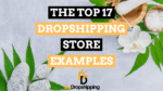 The 17 Top Dropshipping Store Examples (Get Inspired Now)