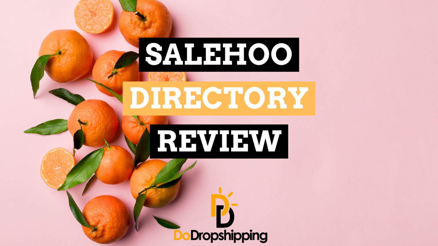 SaleHoo Review: Is It the Best Supplier Directory in 2026?