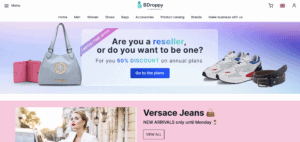 11 Best Luxury Dropshipping Suppliers in 2025 (Free & Paid)