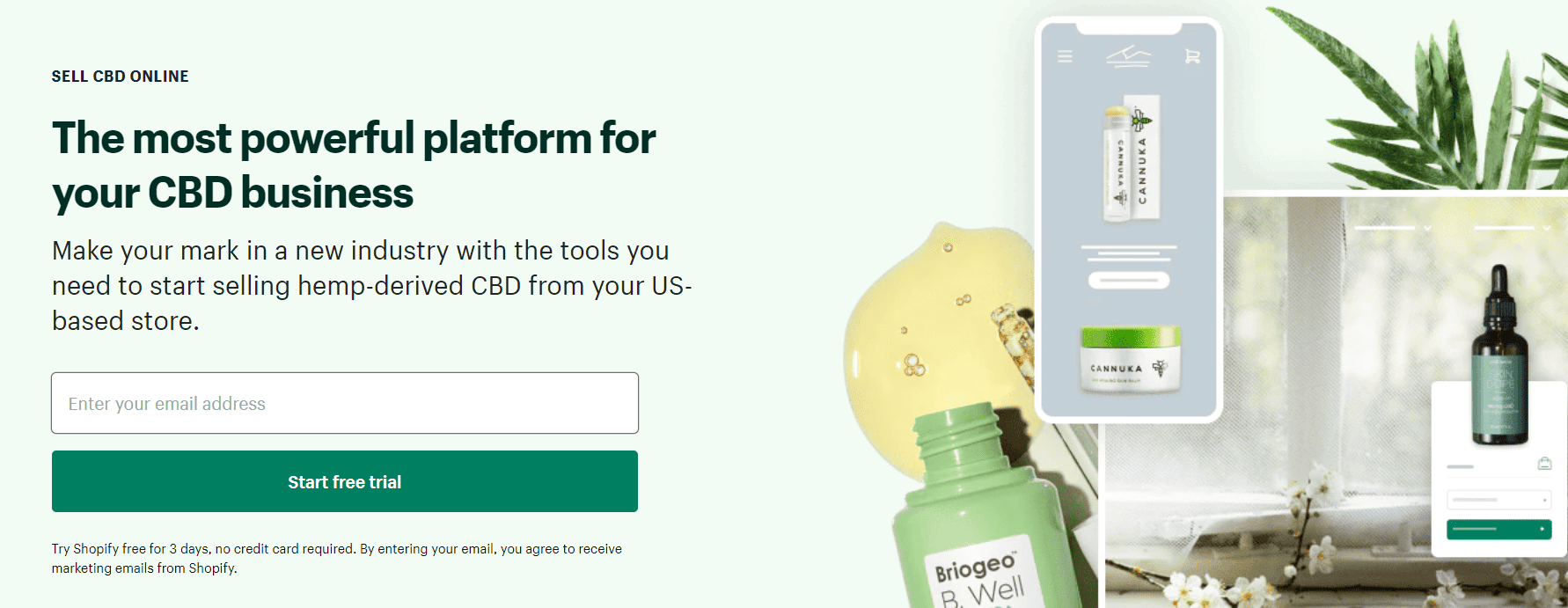 How Do You Create a CBD Store With Shopify? (Setup Guide)