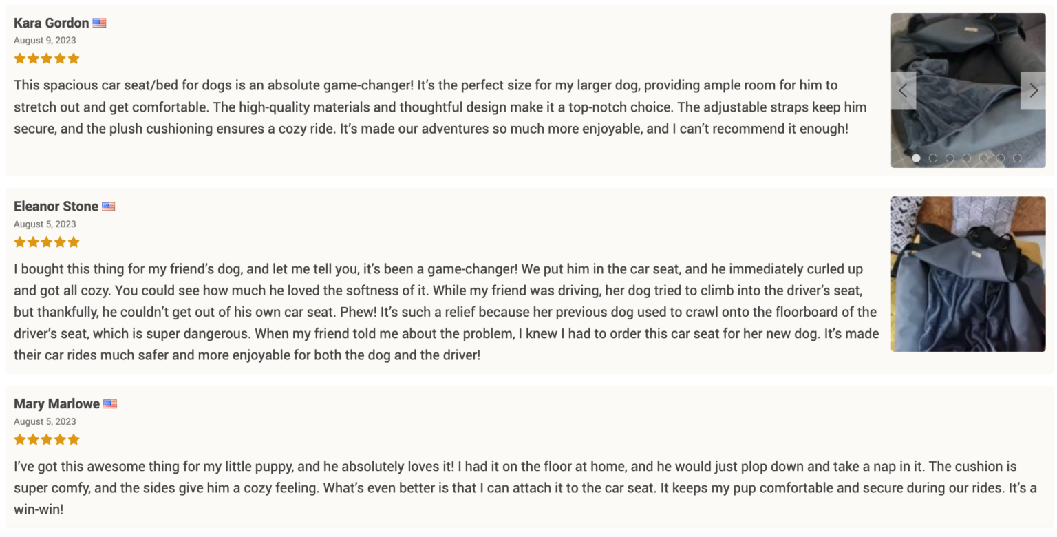 6 AliDropship Premium Dropshipping Store Examples in 2026