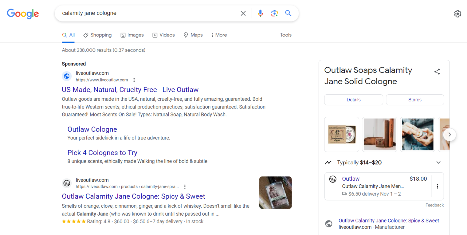 12 Proven Google Ad Examples for Dropshipping Stores (2025)