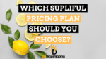 Supliful Pricing Plans: Which One Should You Choose? (2025)