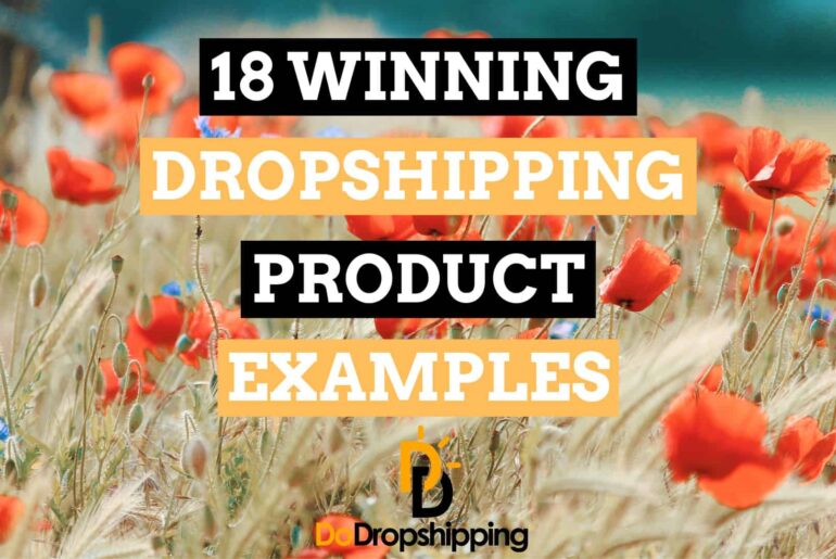 11 Ecommerce Shipping Policy Examples (+3 for Dropshipping)