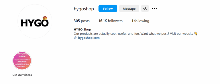 11 Dropshipping Instagram Account Examples | Inspiration