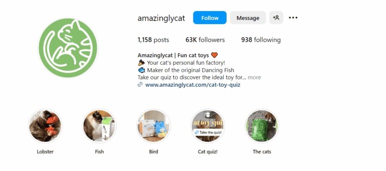 11 Dropshipping Instagram Account Examples | Inspiration