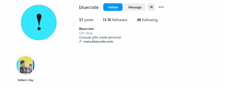 11 Dropshipping Instagram Account Examples | Inspiration