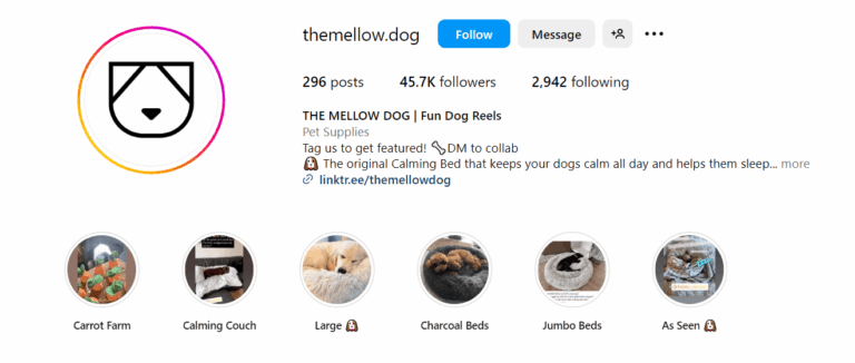 11 Dropshipping Instagram Account Examples | Inspiration